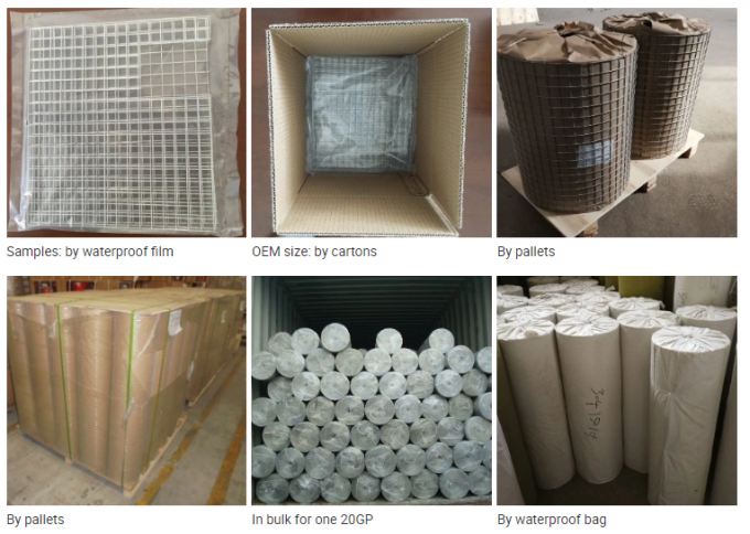 1x2 Inch Welded Wire Mesh Fencing Panels 304SS